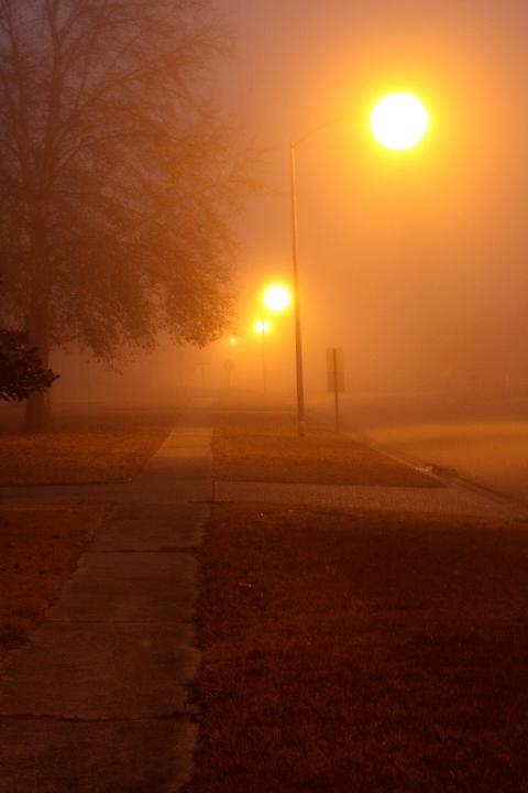 Street Lights on a Foggy Morning | Shutterbug